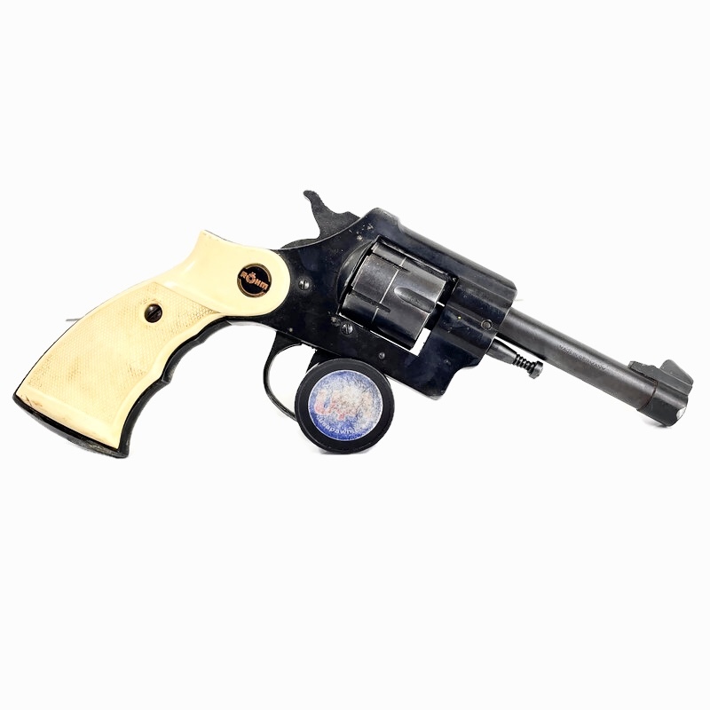 Rohm Gmbh Sontheim/Brenz RG24 22LR Cal. Double Action Revolver | USA Pawn