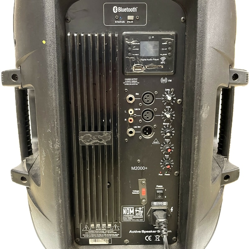 Edison M2000+ 15" High Power PA Speaker | USA Pawn